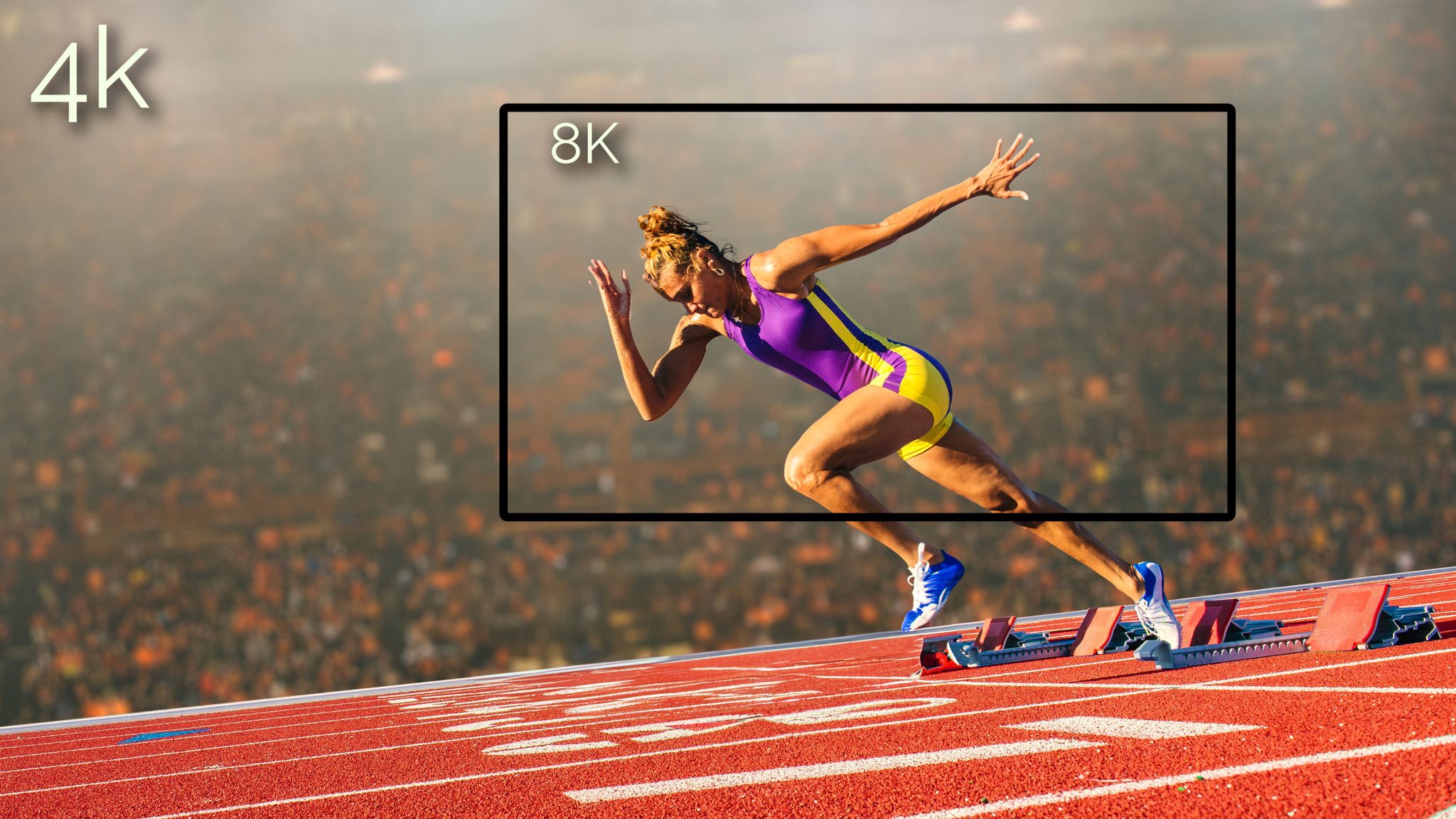 Remote Photography with PTZOptics and OBS: A Complete Tutorial - PTZOptics